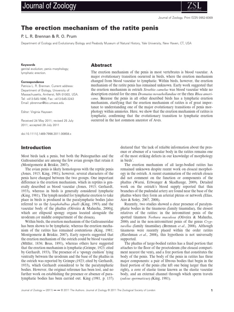 Brennan Prum 2011 | PDF