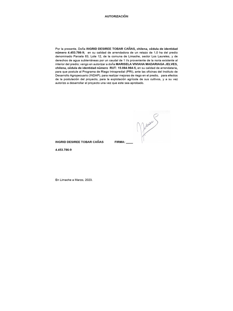 Autorización para Postular Proyecto | PDF