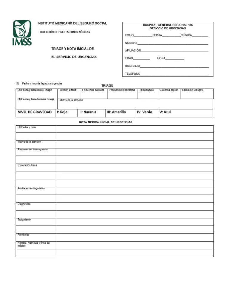 IMSS | PDF