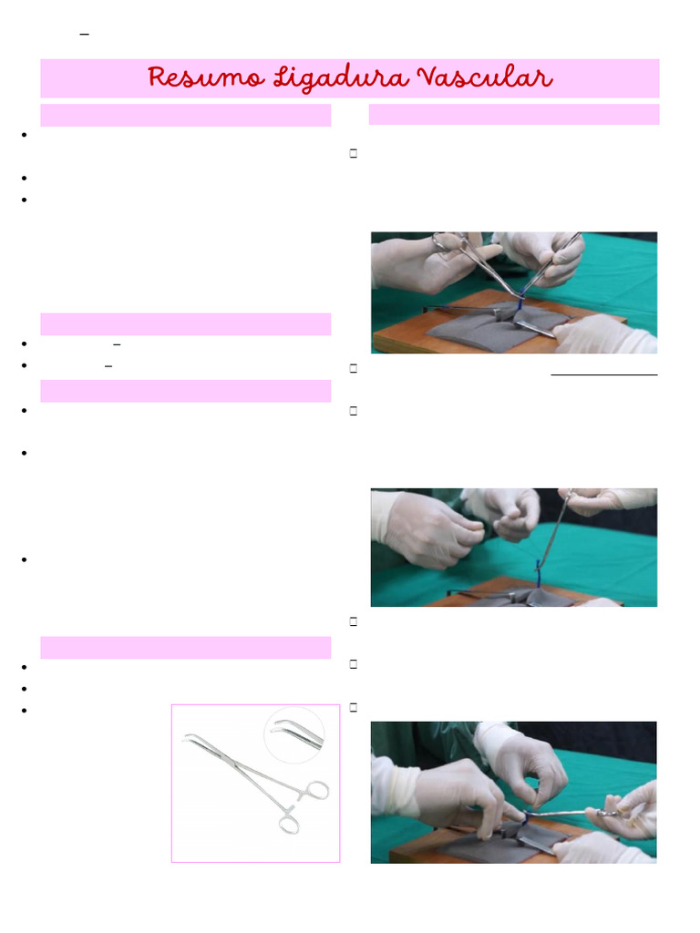 Resumo Roteiro 5 Nath | PDF
