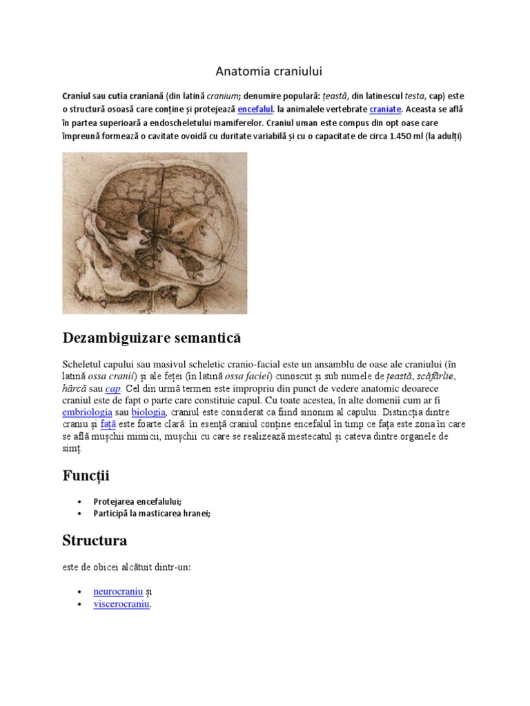 Anatomia Craniului | PDF
