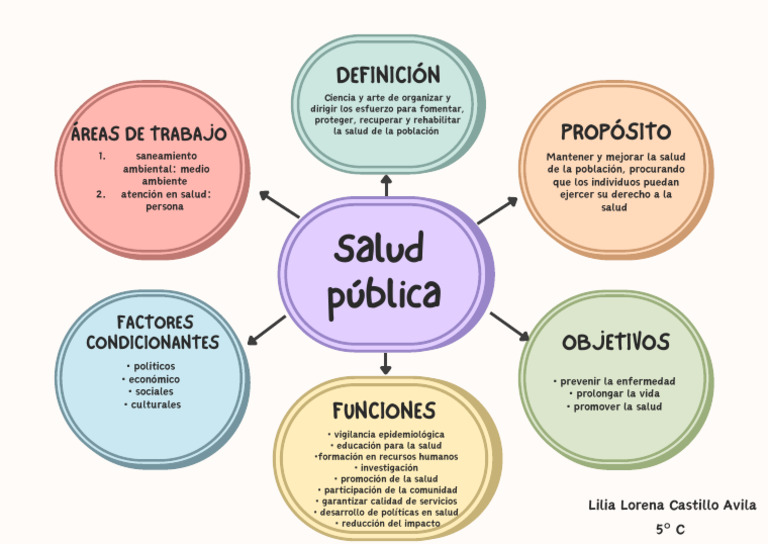 Salud Publica Mapa Mental | PDF