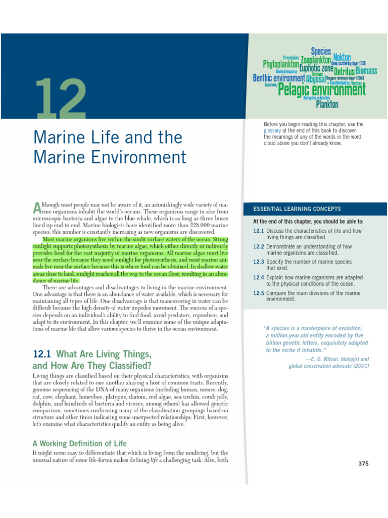 Marine Life and Environment | PDF