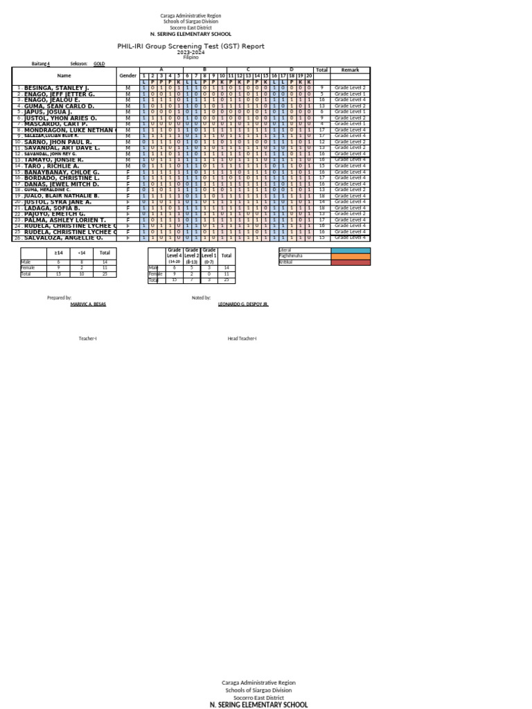Phil Iri Report GST 2023 2024 | PDF