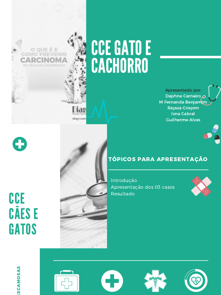 CCE GATO e Cachorro | PDF