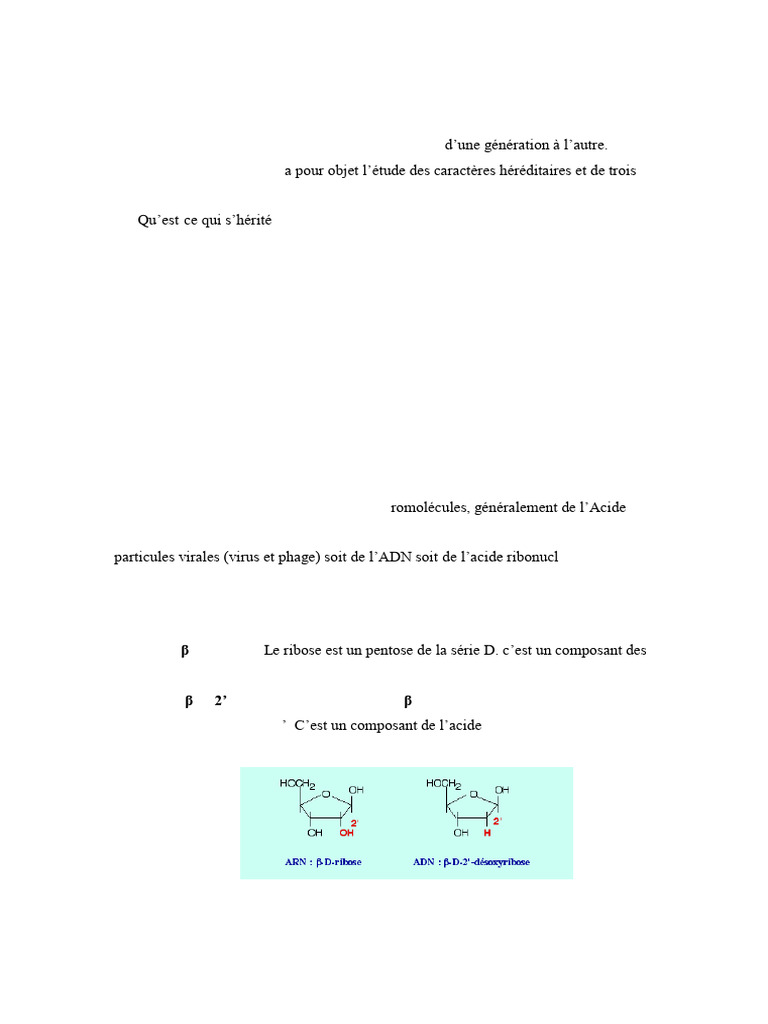 Génétique (Tous Les Cours) | PDF