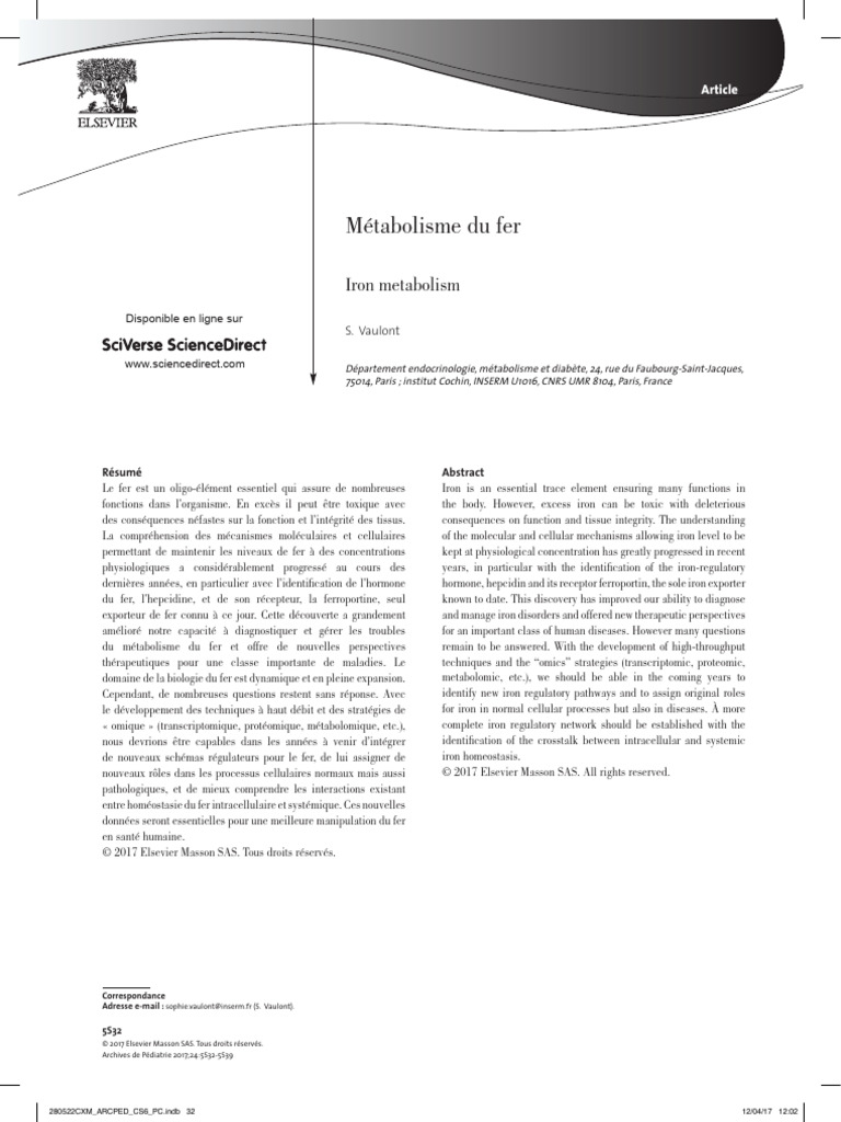 Métabolisme Du Fer 2017 ++++ | PDF