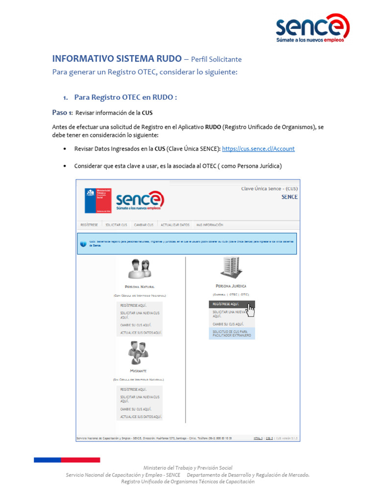 Manual Sistema Rudo - Registro Otec | PDF