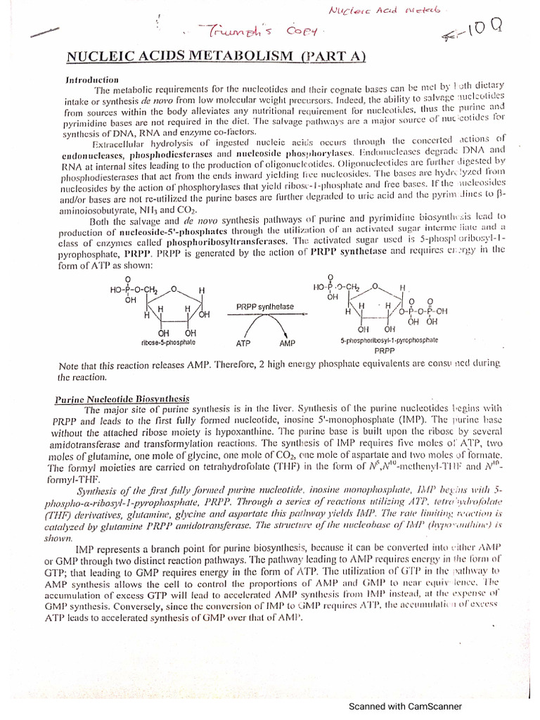 Nucleic Acid Metab Part A | PDF