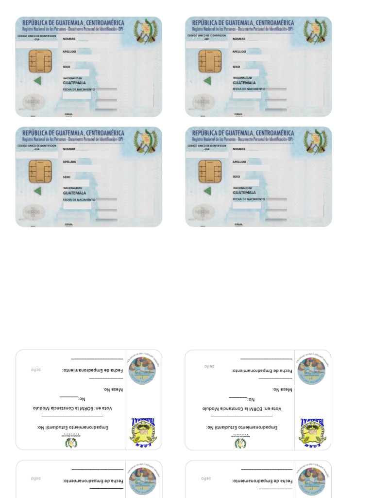 1 MODELO DE DPI GOBIERNO ESCOLAR 2024 | PDF