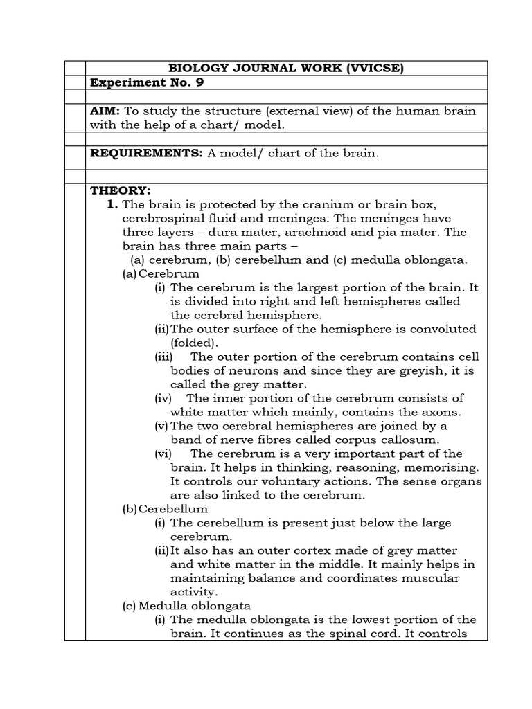 Experiment No. 9 STD 10 | PDF