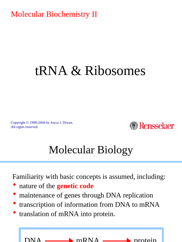 TRNA & Ribosomes | PDF