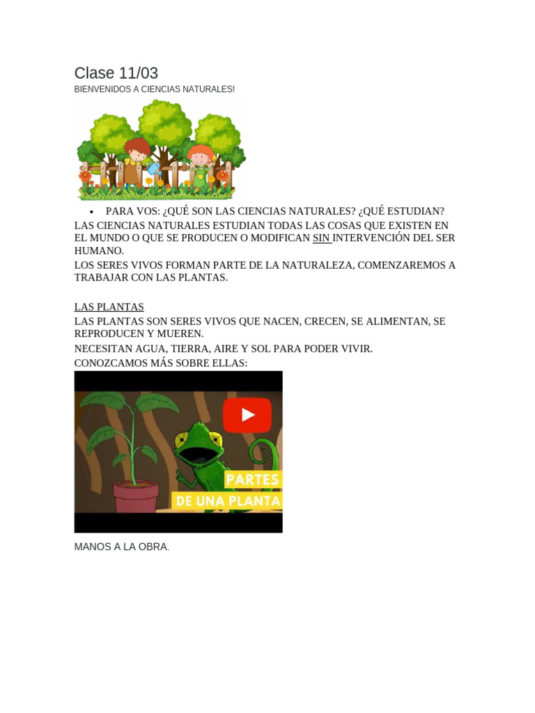 Explorando el Mundo de las Plantas | PDF | Hogar, jardinería y ...