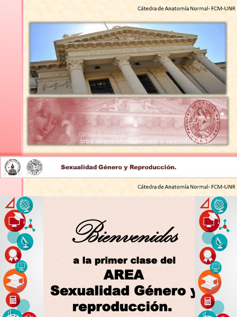 Huesos De La Pelvis Y Sus Articulaciones Pdf