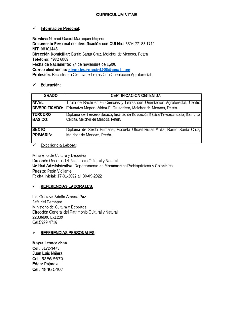 Ejemplo de Curriculum | PDF