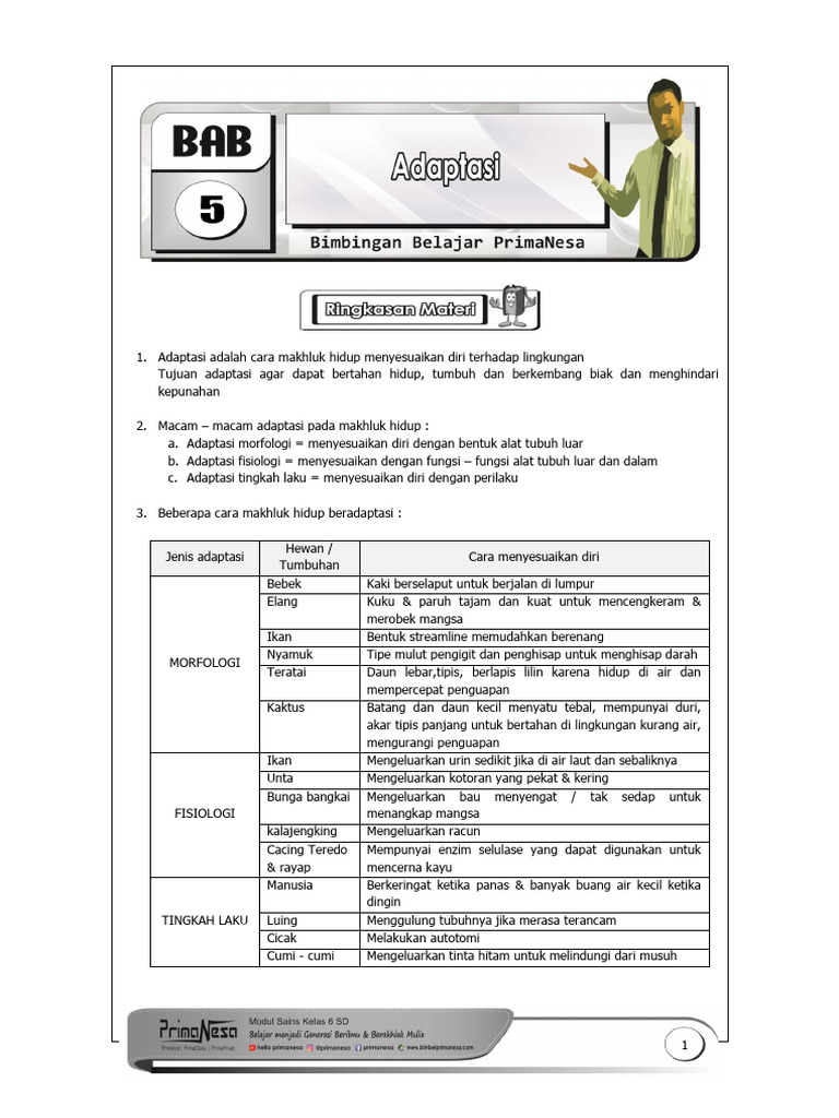 Ipa Bab 5 Rangkuman Adaptasi 6 SD | PDF