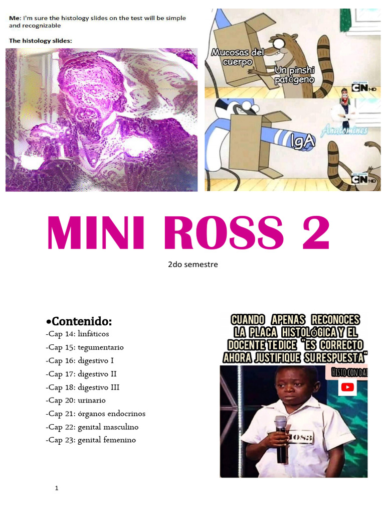 Mini Ross 2da Parte | PDF