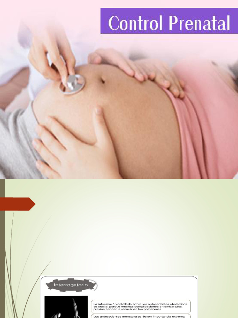Control Prenatal | PDF