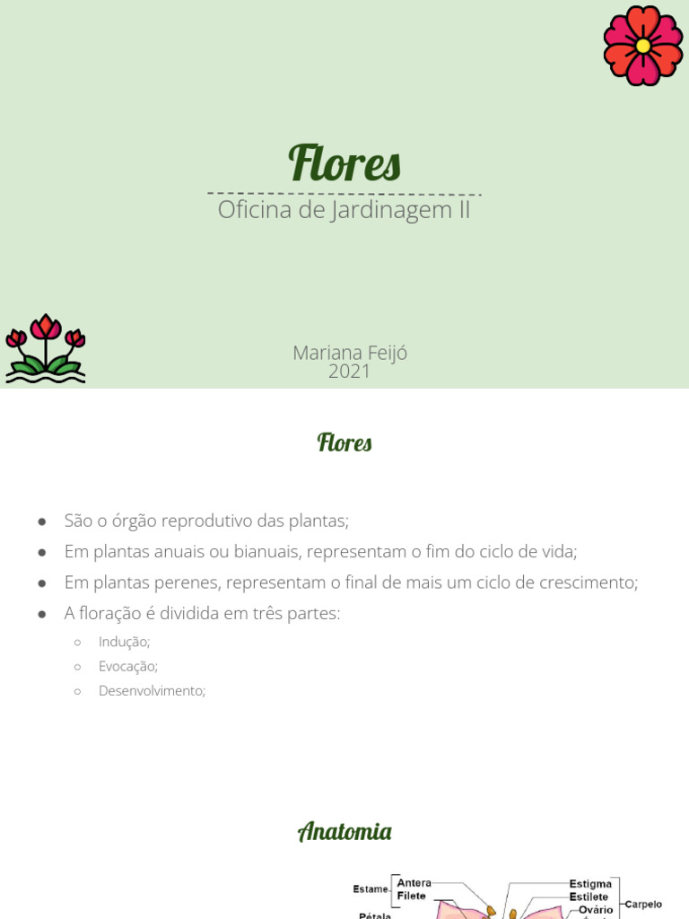 Flores | PDF
