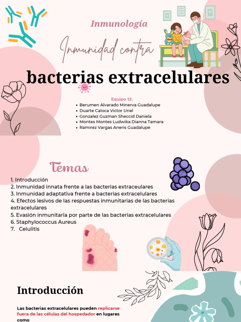 Inmunidad Contra Bacterias Extracelulares 2 | PDF | Sistema inmune | Inflamación