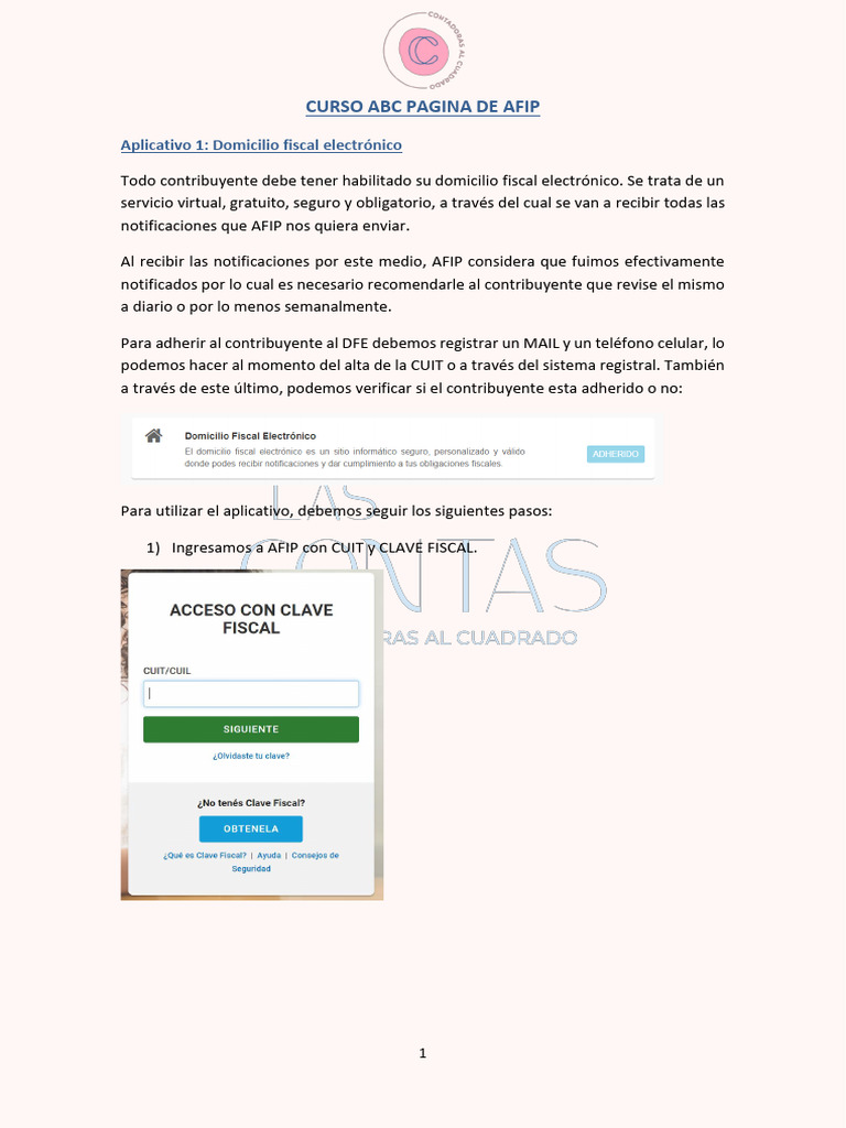 Aplicativo 1 - DFE | PDF