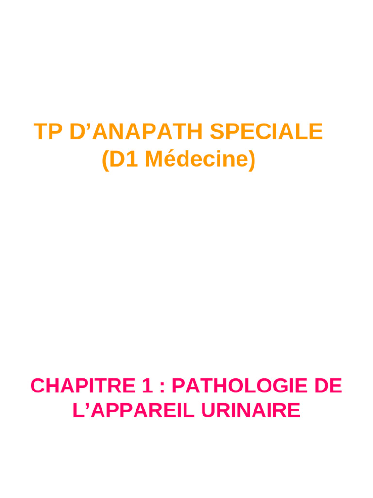 TP D'anapath Spécial | PDF