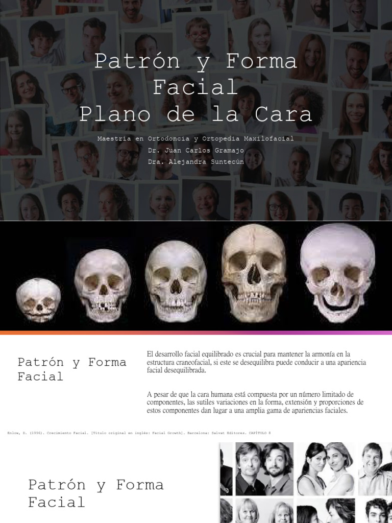 Patrón y Forma Facial + Plan de Rostro Humano | PDF