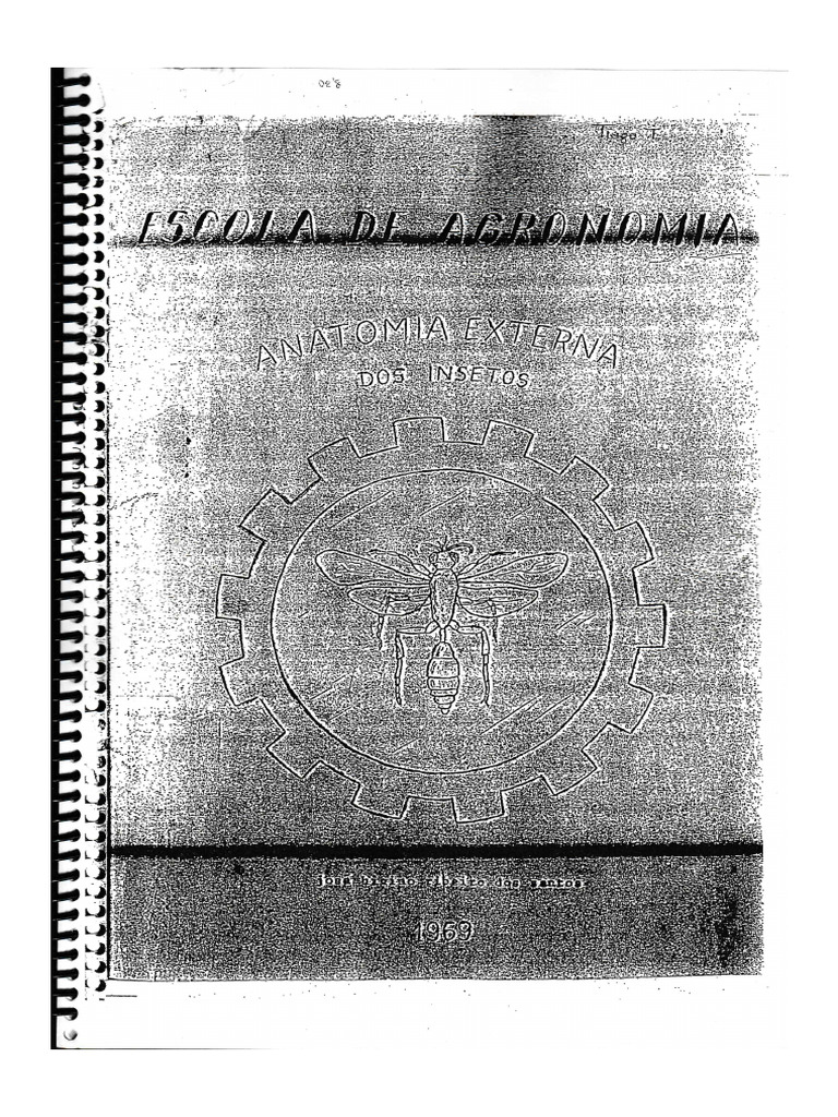 Apostila Anatomia Externa Dos Insetos | PDF