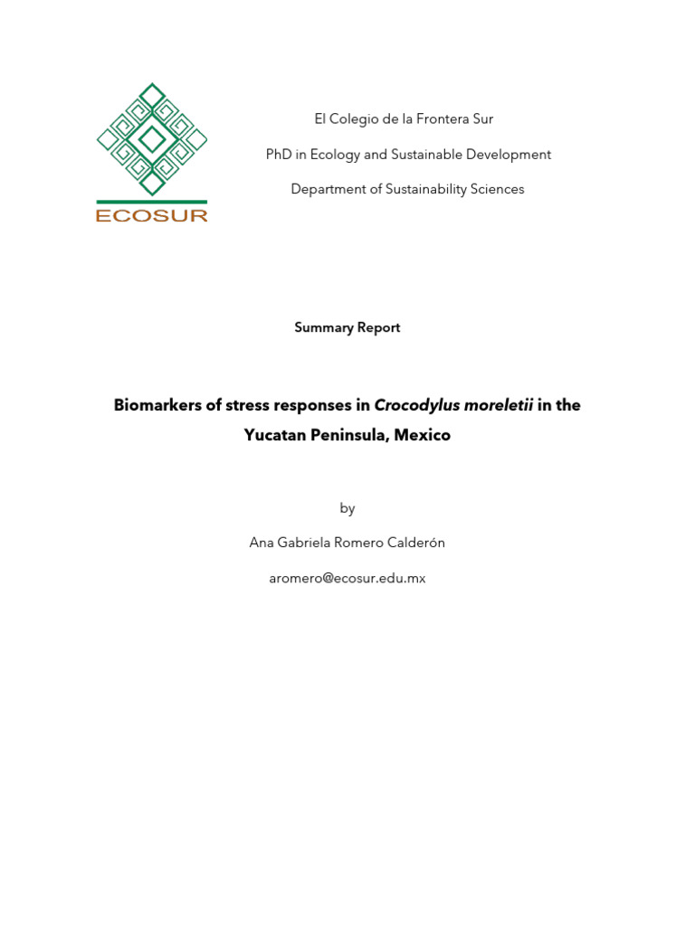 Resumen Beca CSG | PDF