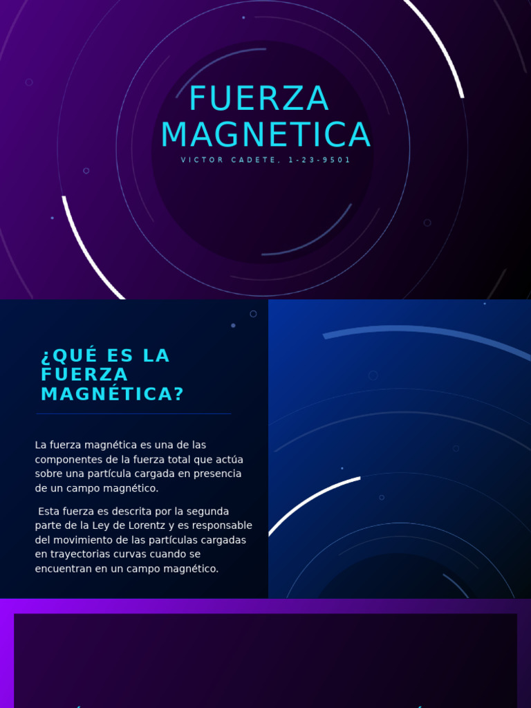 Fuerza Magnetica | PDF