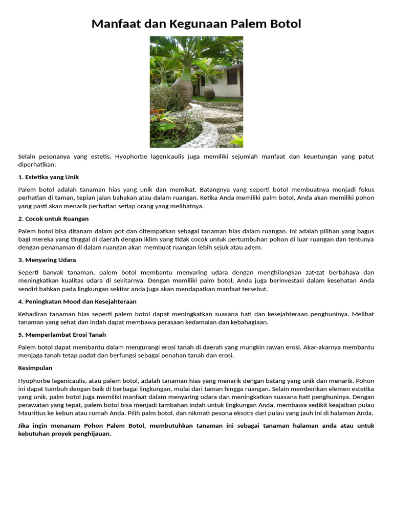 Manfaat Dan Kegunaan Palem Botol | PDF