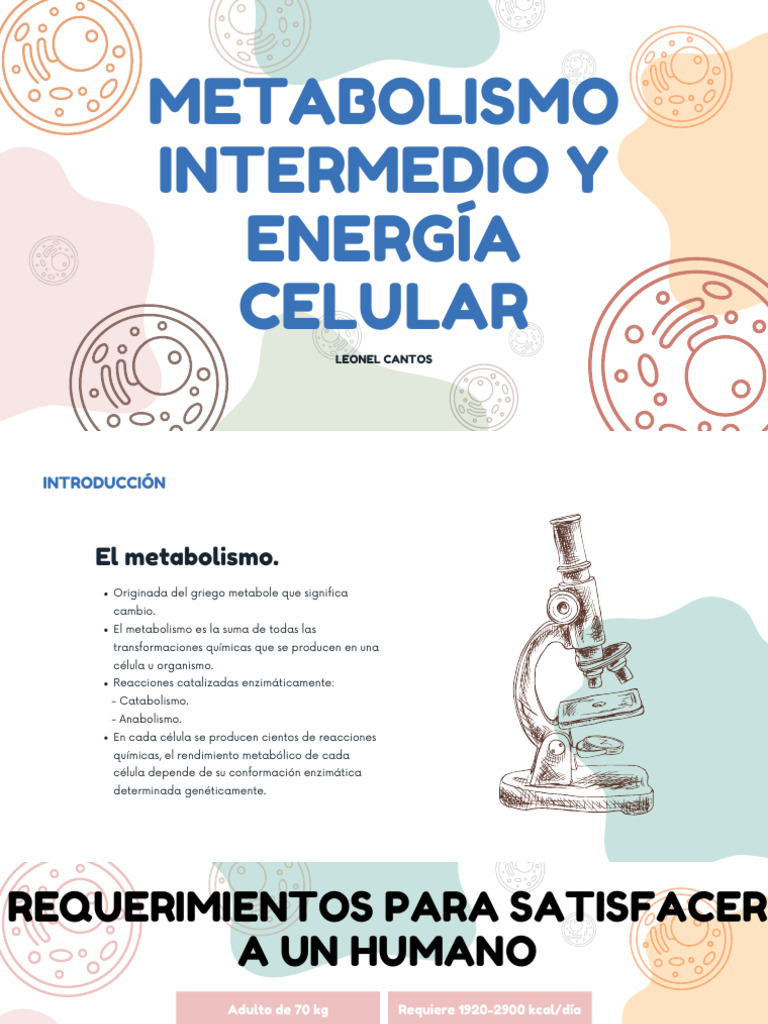 Presentación Bioquimica Leonel Cap4 | PDF