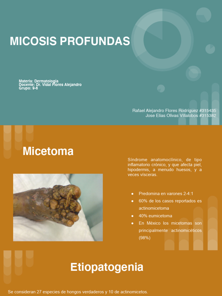 Micosis Profundas | PDF