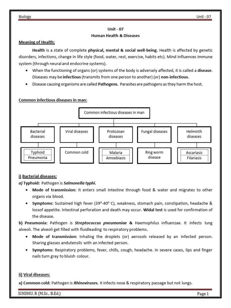 Overview of Human Infectious Diseases | PDF | Immune System | Self ...