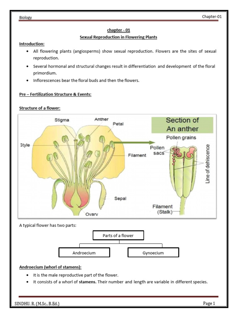 Chapt 01 - Sexual Reproduction in Flowering Plants | PDF