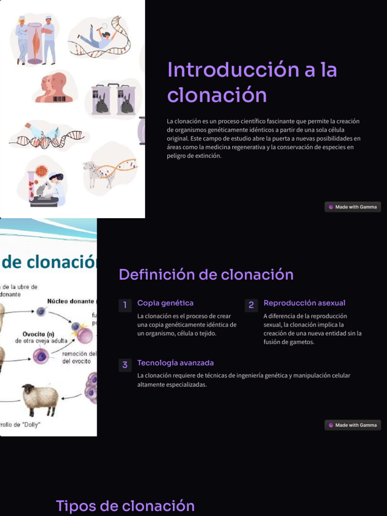 Introduccion A La Clonacion | PDF