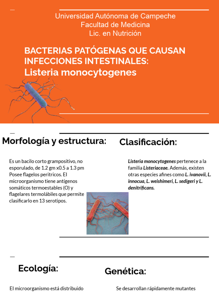 BACTERIAS PATÓGENAS QUE CAUSAN INFECCIONES INTESTINALES - Listeria ...
