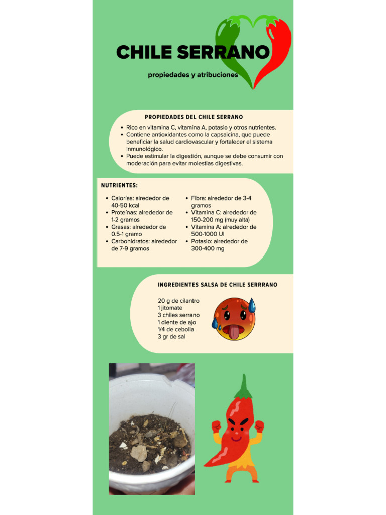 Infografía Química | PDF