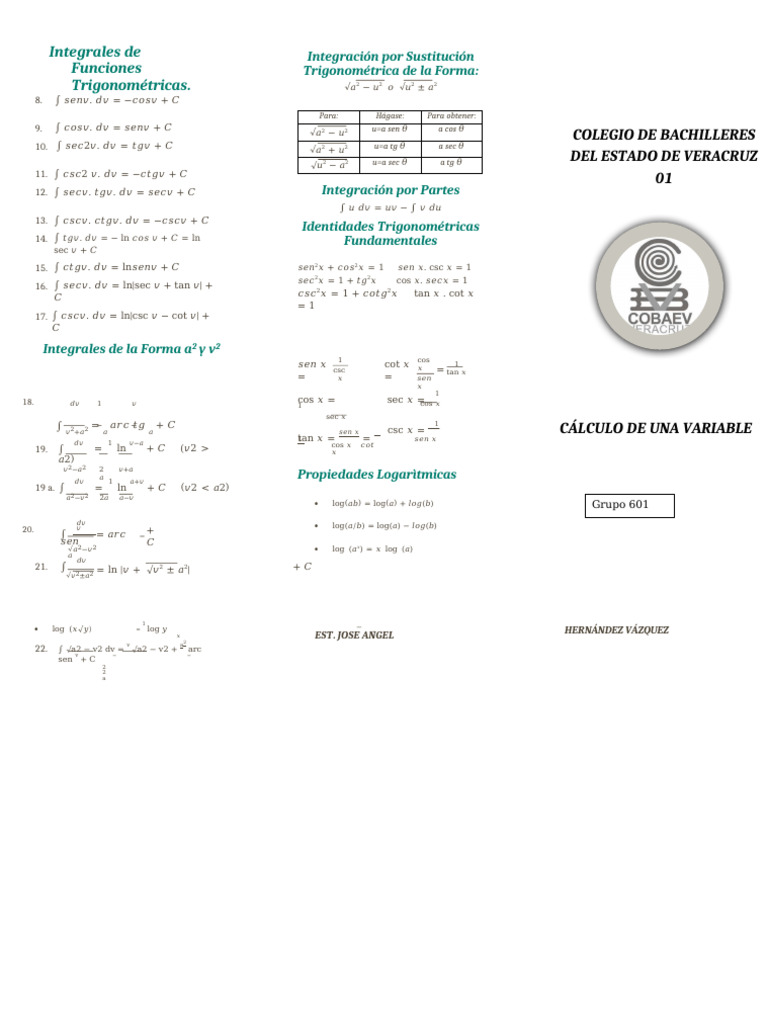 Triptico Calculo Integral | PDF