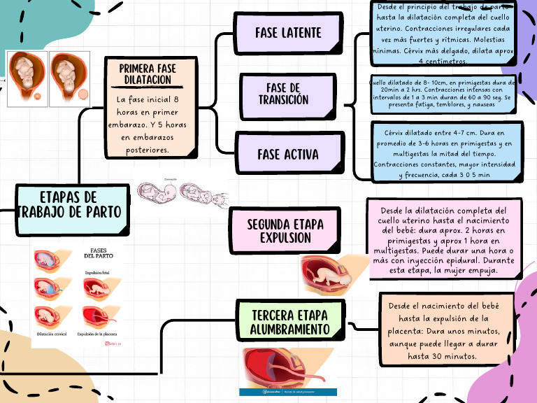 Mapa Etapas de Parto | PDF