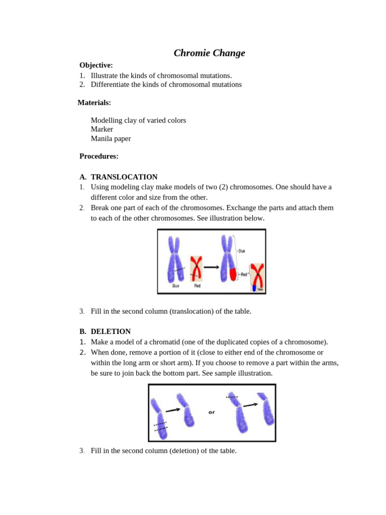 Chromie Change - Activity | PDF