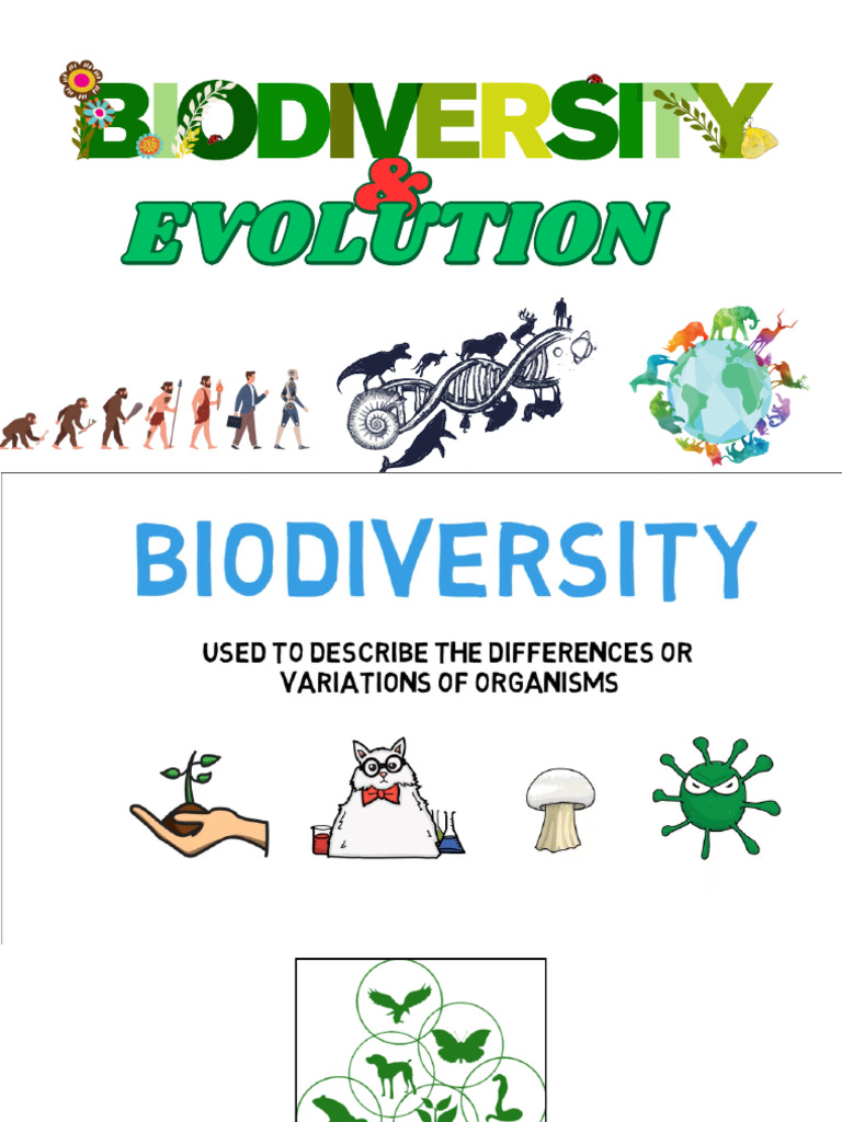 Biodiversity and Evolution | PDF