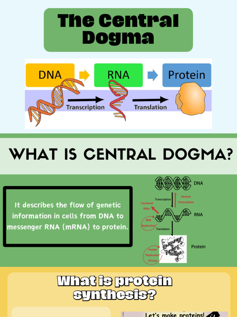 The Central Dogma | PDF