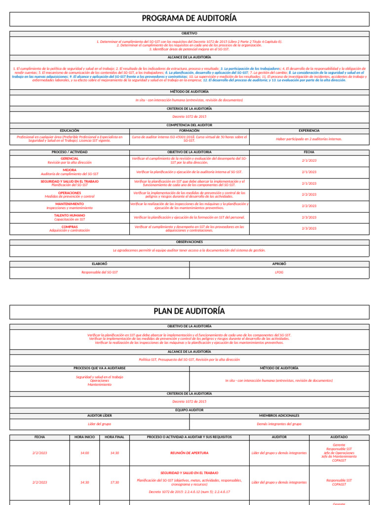 Ejemplos - Programa y Plan de Auditoría | PDF