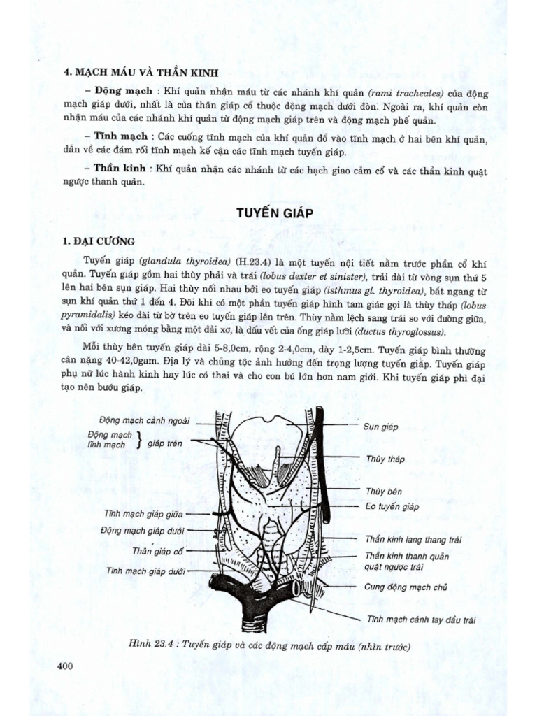 Tuyen Giap Va Can Giap Pdf