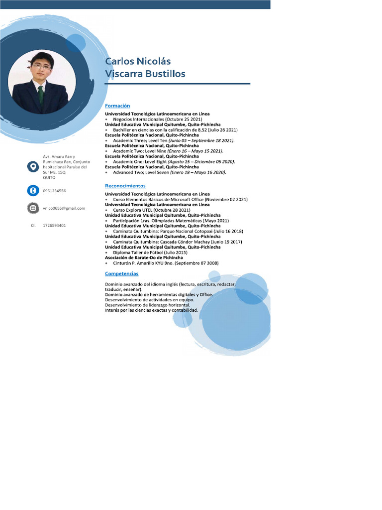 Curriculum Nicolás Viscarra | PDF
