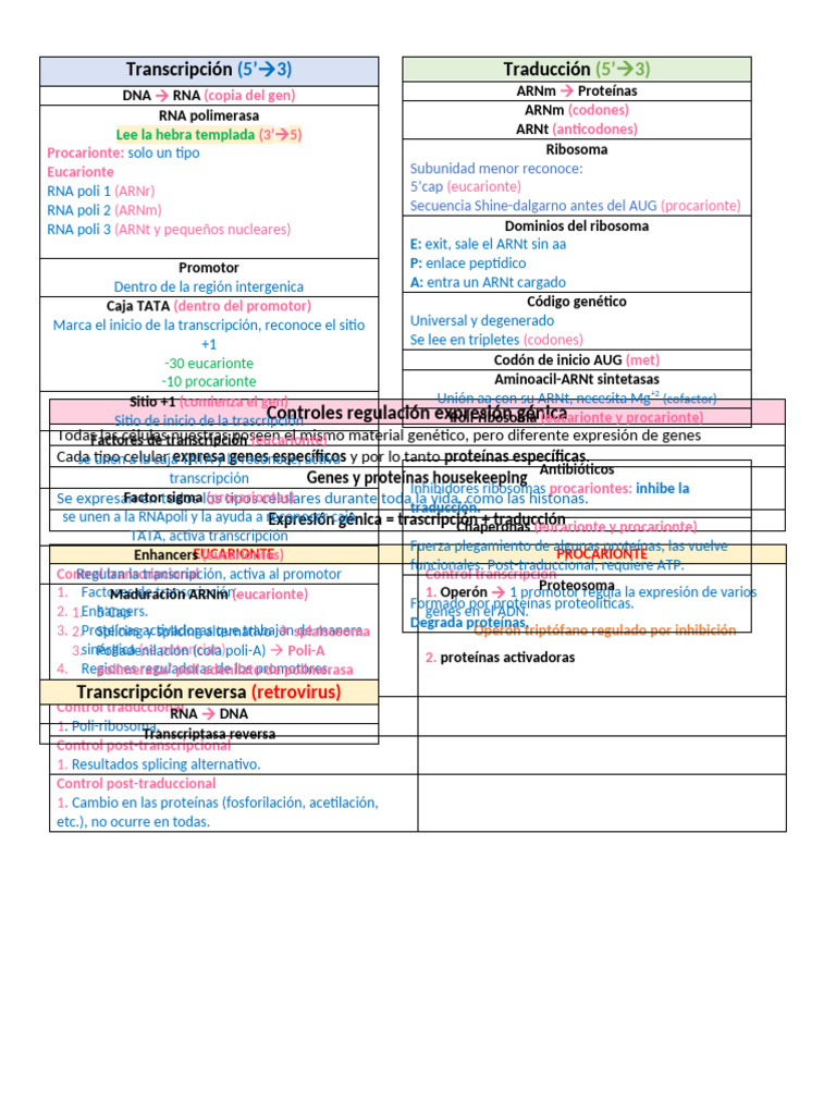 Transcripción Resumen | PDF