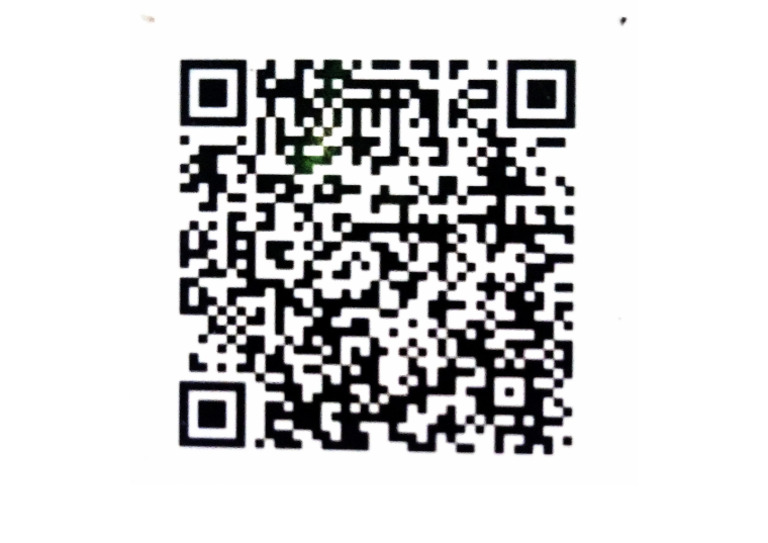 ACE Scanner - 2024 - 08 - 20 | PDF