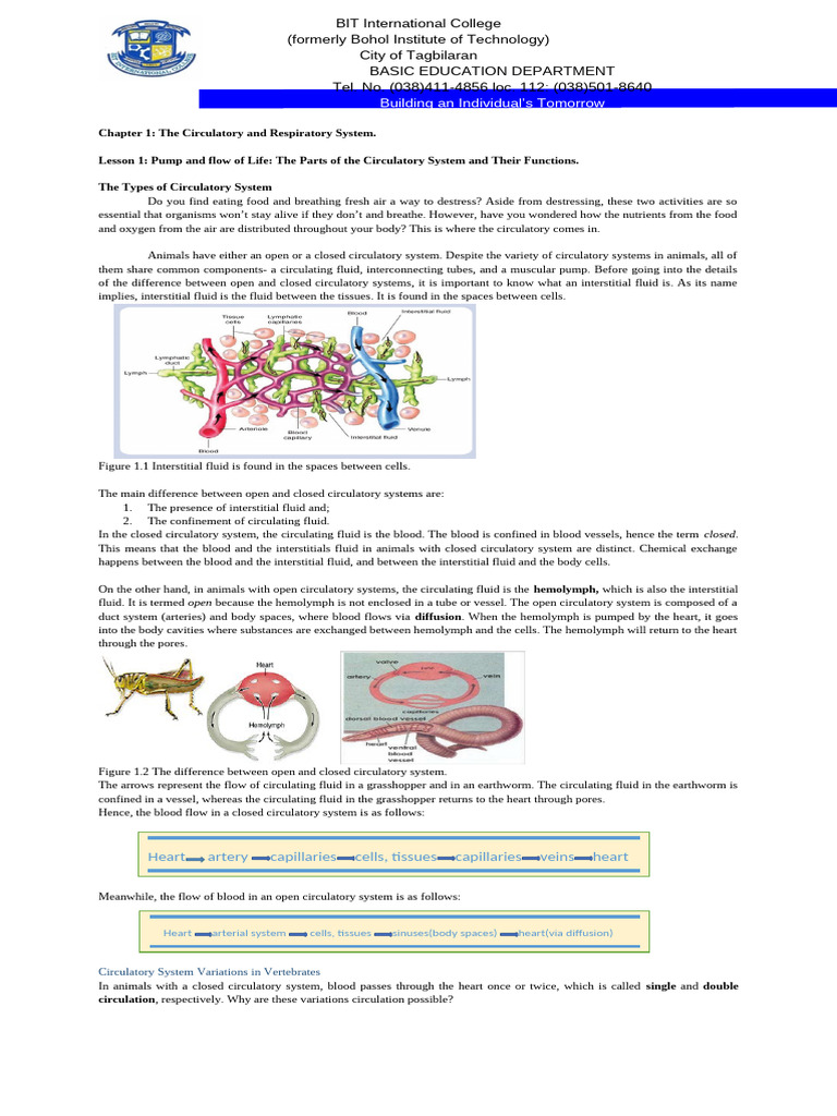 Chapter 1 Lesson 1 | PDF
