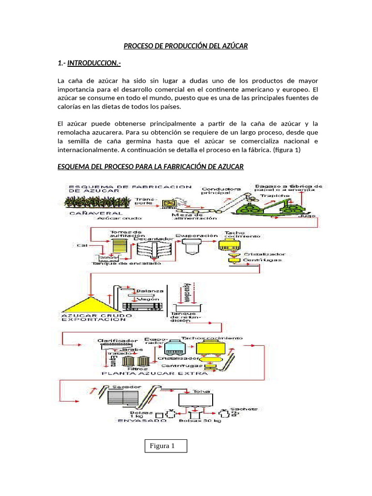 Proceso de Producción Del Azúcar | PDF | Caña de azúcar | Centrífugo